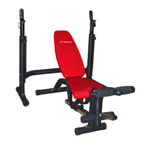 Double Power Apollo Bench Press Bench with Incline Decline AP-310 in ...